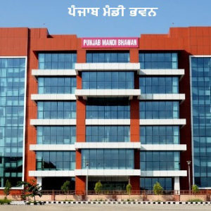 Deepak Builders & Engineers India Limited